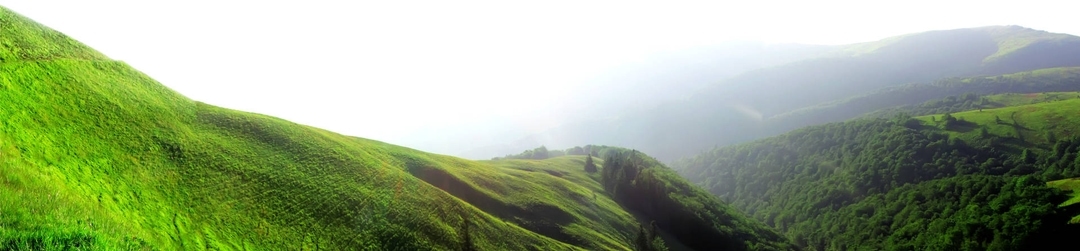 Solid Carbon Products - SCP